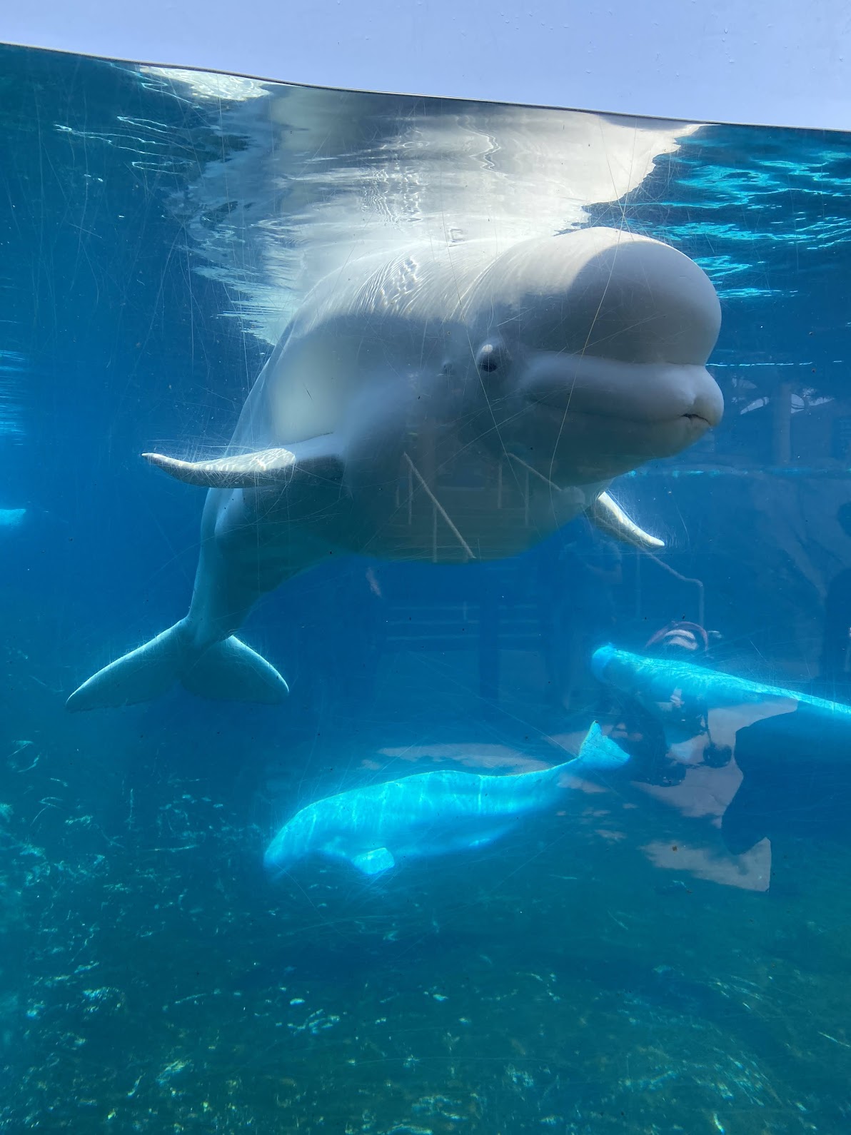 People – Kapil Khanal